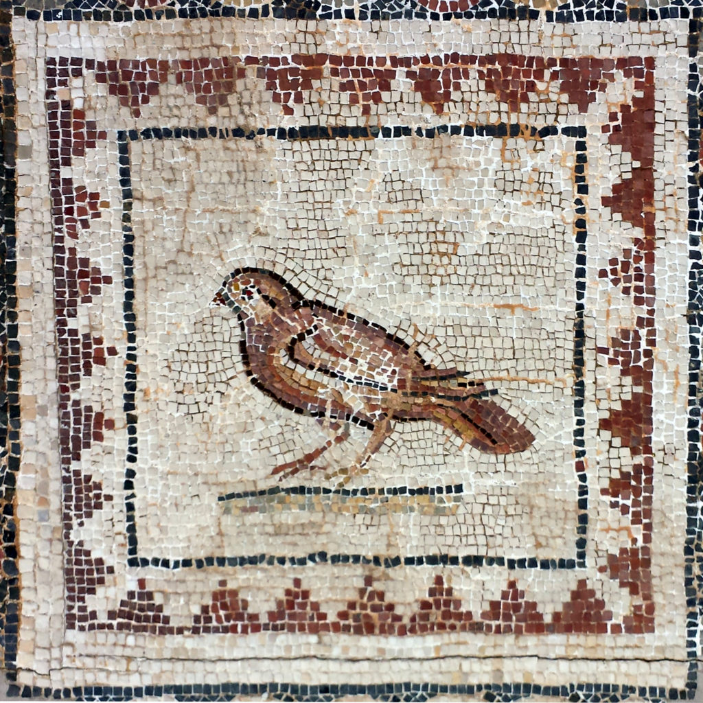 The Roman mosaic of the birds in Italica (Santiponce), Seville, Spain